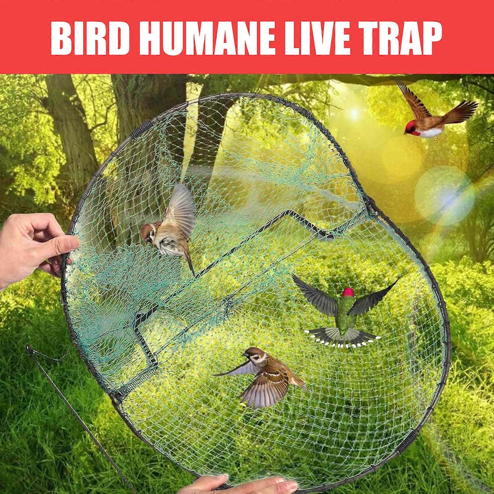 Steel Frame Bird Trap Net - Effective Quail Catcher - 30cm Green Mesh ...