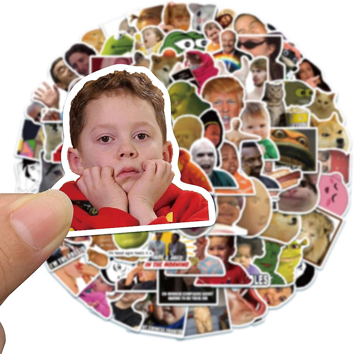 Funny Meme Stickers,100PCS Vinyl Stickers for Laptop,Skateboard,Water ...