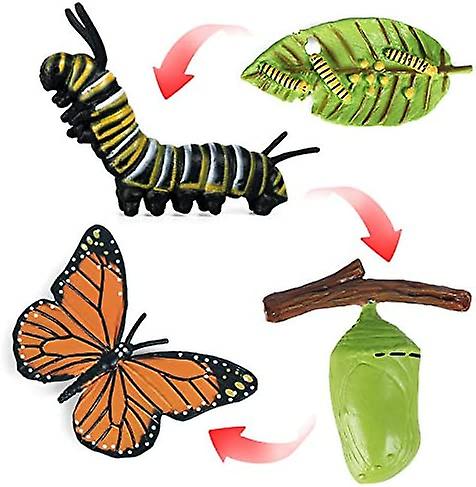 Insect Monarch Butterfly Growth Cycle Figurine Monarch Butterfly Life ...
