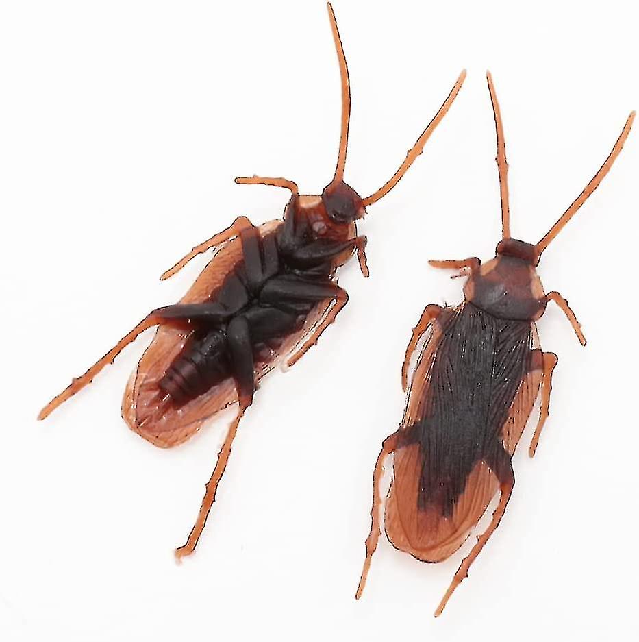 12- Fake Roaches Prank - Cockroach Bugs Look Real Black | Fruugo UK