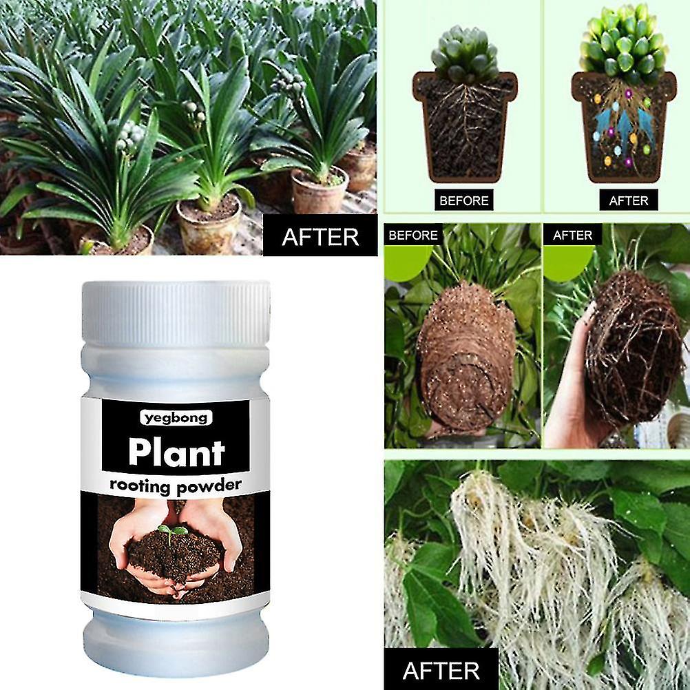 Quick Rooting Powder Fast Plant Flower Rooting Powder Quick Growth ...