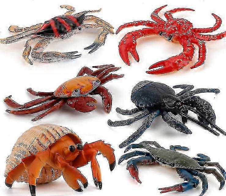 Hermit Crab Toy Educational Simulation Animal Marine Life Model ...