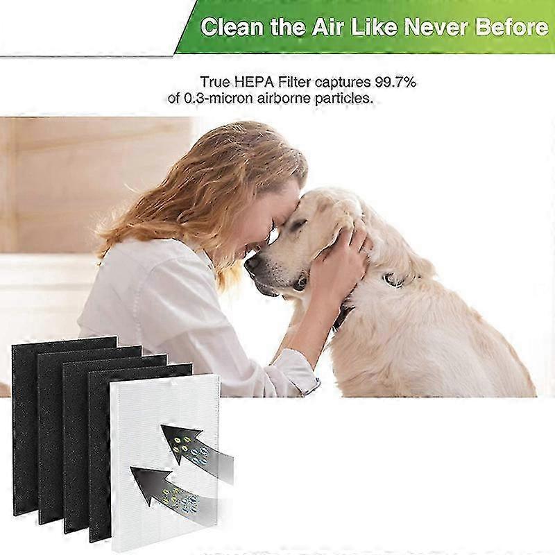 C545 True HEPA Replacement Filter for C545 Air Purifier, Replaces for ...