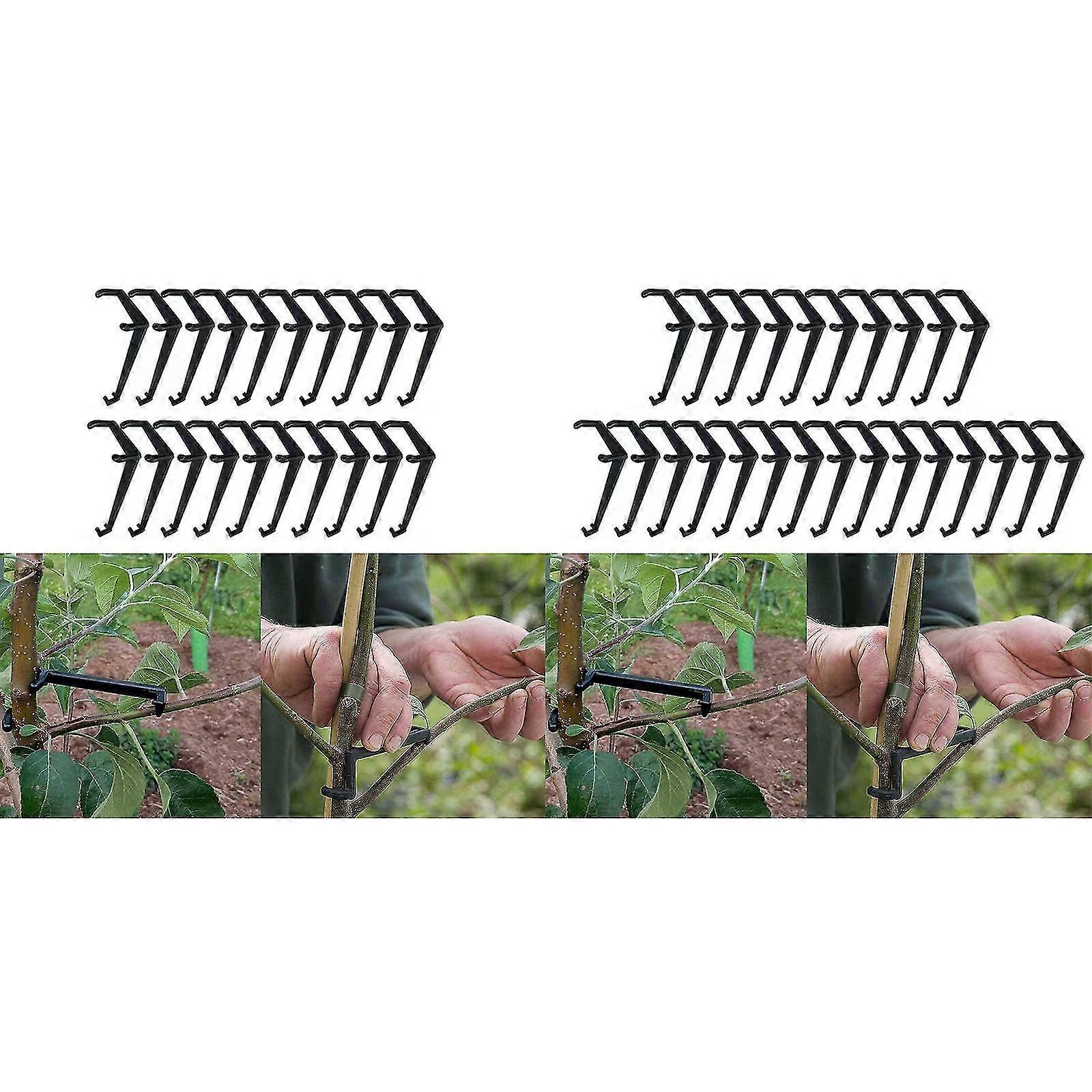 Fruit Tree Branch Limb Spreader For Strong Spreading Crotch Angles ...