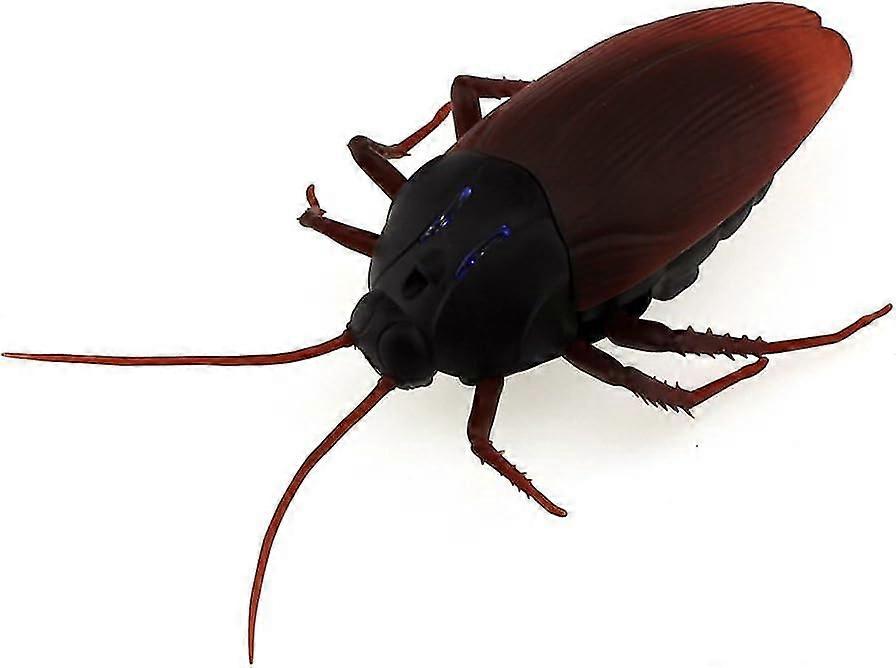 Rc Cockroach Remote Control Car Vehicle Animal Toys Electronic ...