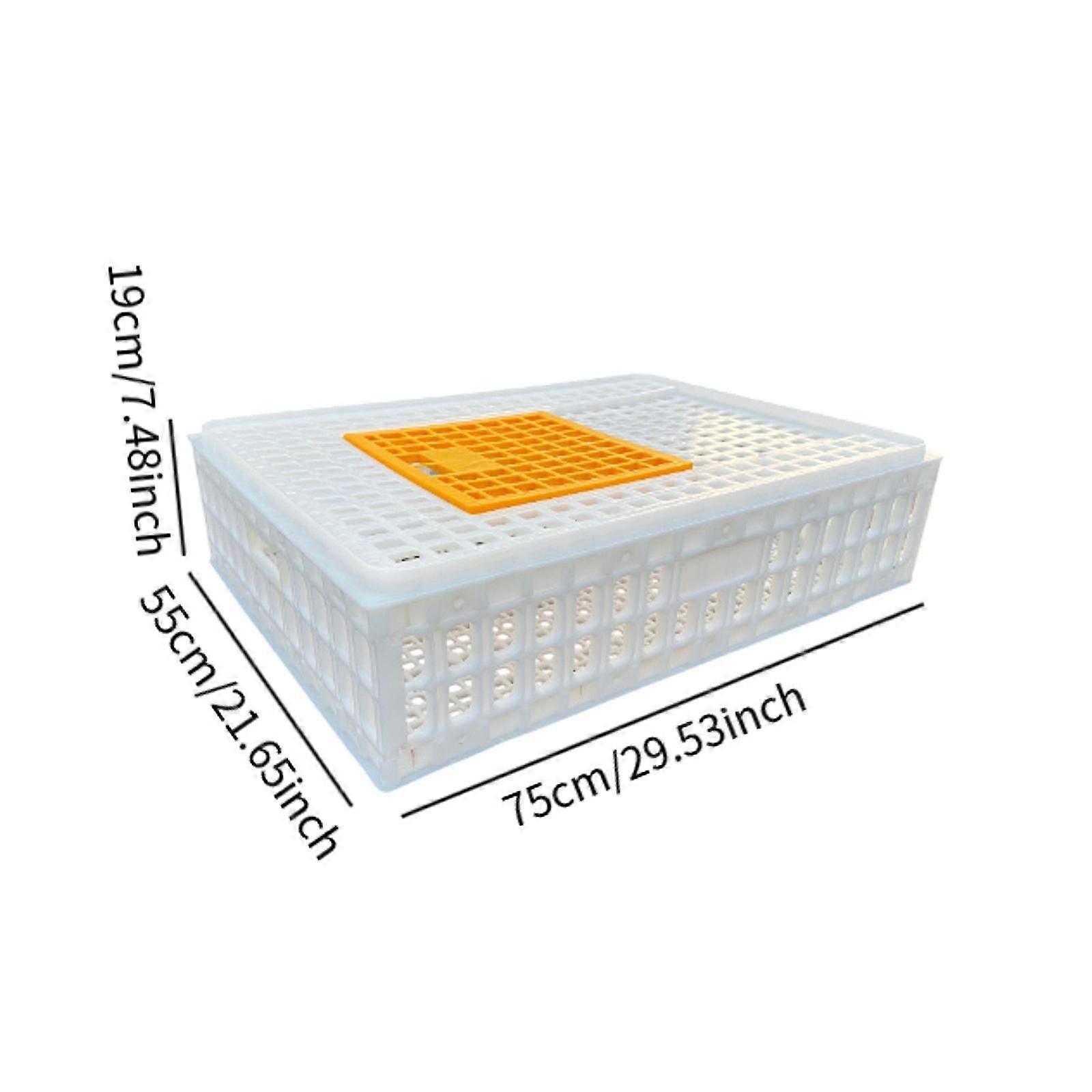 Poultry Carrier Crate Chicken Crate Transport Box for Hideaway Rutin ...