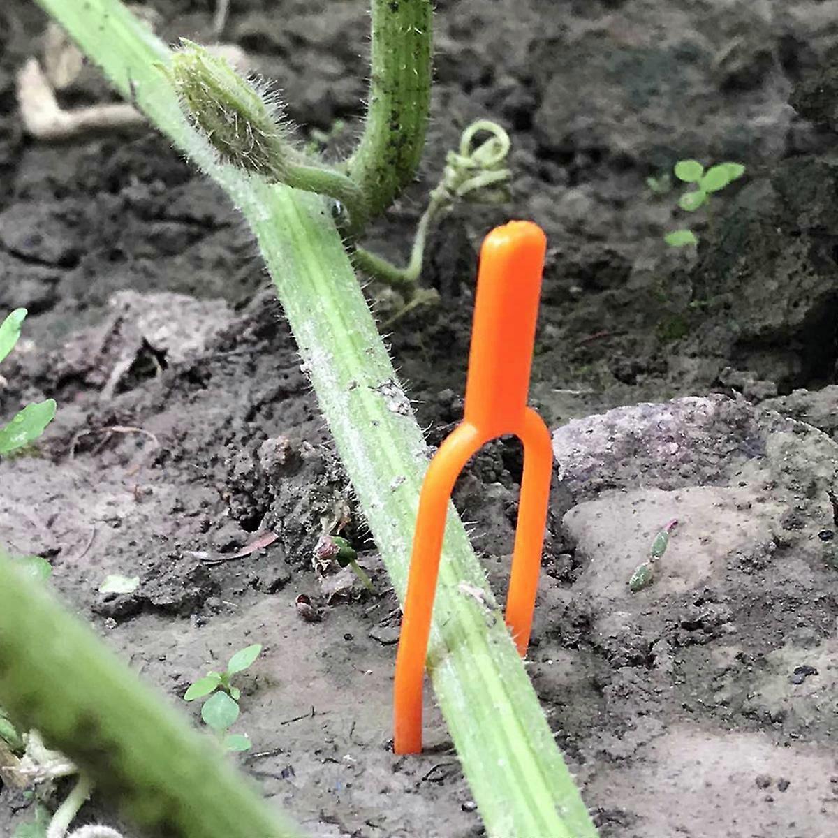 100pcs Stalk Fixed Clampes Strawberry Planter Garden Plant Support ...