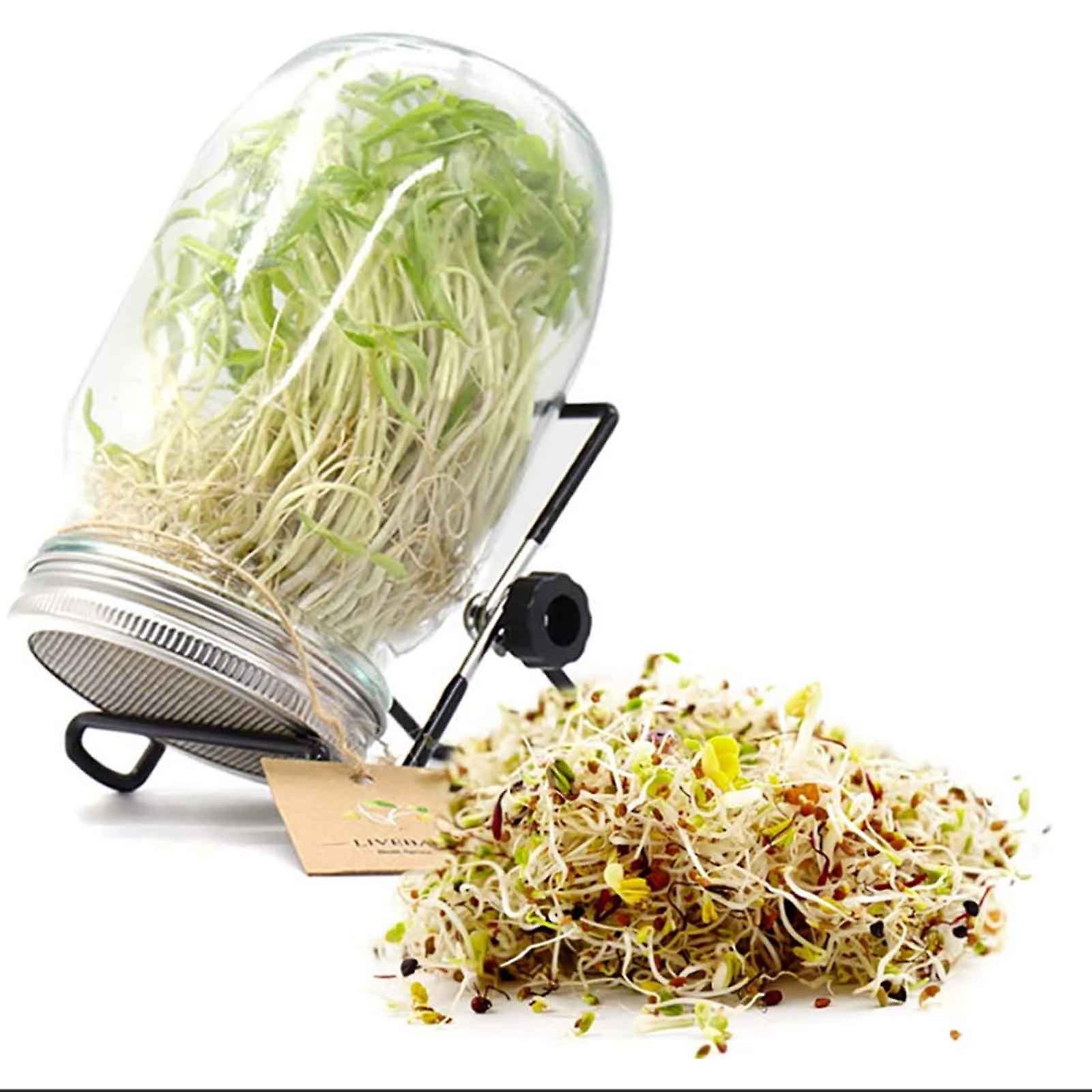 Mason Can Germination Tank Stainless Steel Germination Bracket ...