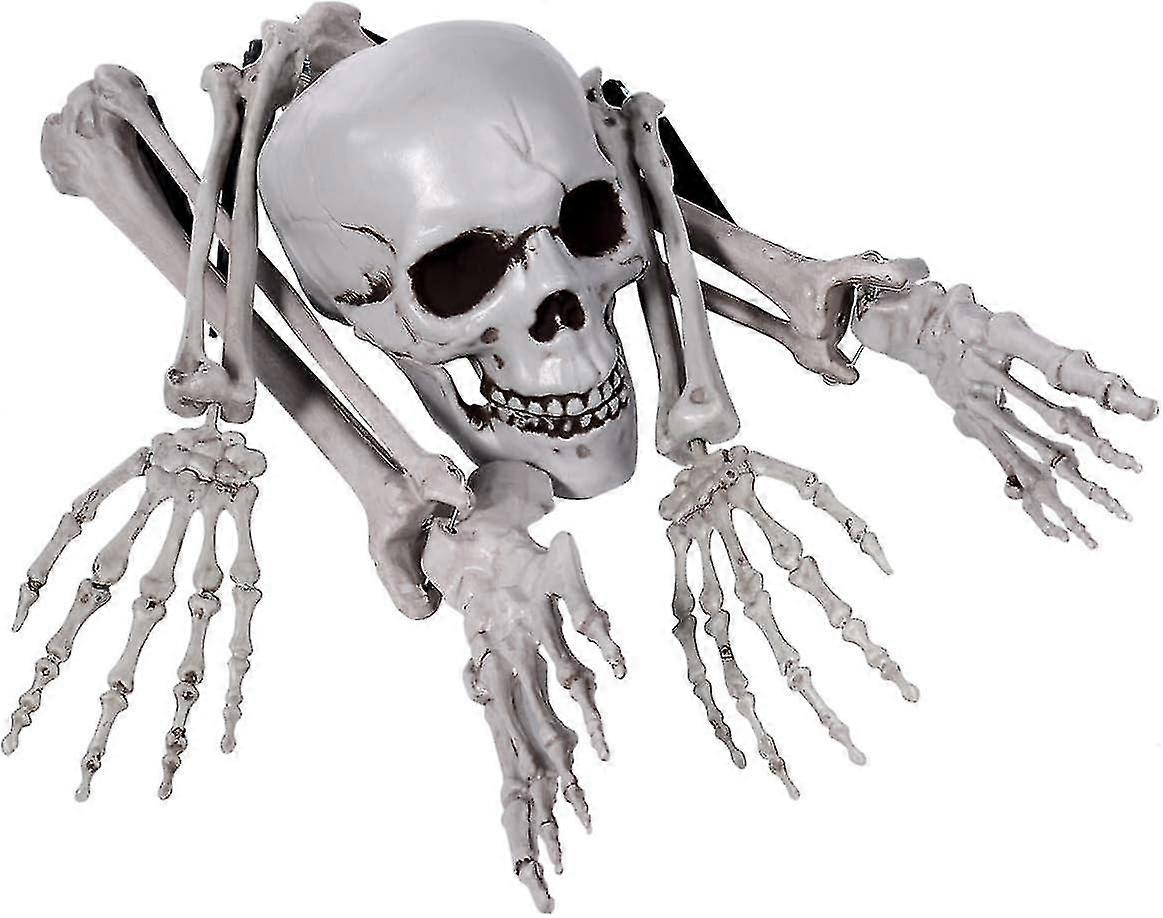 Skeleton Bones And Skull Plastic Spooky Fake Skeleton For Halloween ...