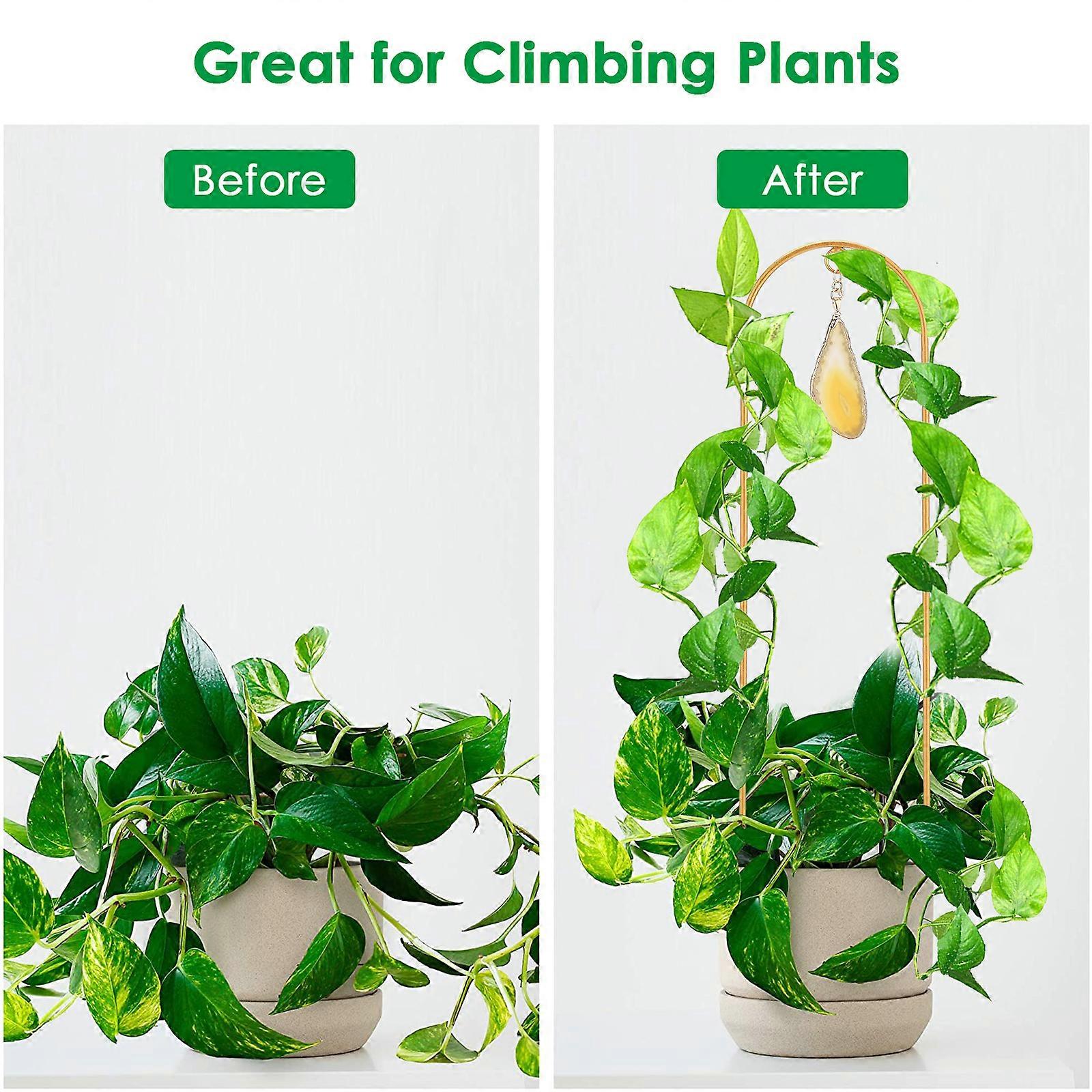 Garden Supplies Planting Support Frame Supports For Climbing Plants ...