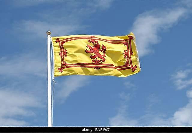 Norfolk Flag,Eyelet In Every Corner, Norfolk Day, British Regional Flag ...