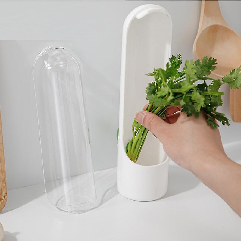 Herb Storage Box, Vegetable Storage Box, Herb Planting Storage Box ...
