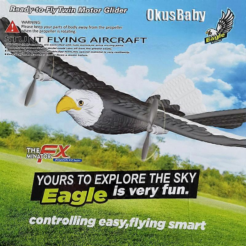 2.4Ghz 2CH RC Aircraft Remote Control Fixed Wing Eagle EPP Foam Glider Bird Animal Model Toy ...