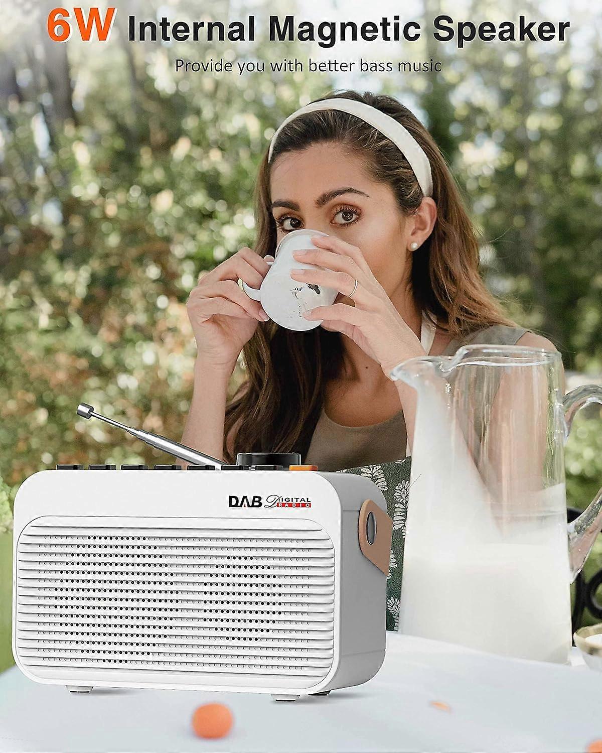 DAB/DAB+Digital Radio, DAB Radio with Bluetooth, Portable Mains and Battery Powered Rechargeable ...