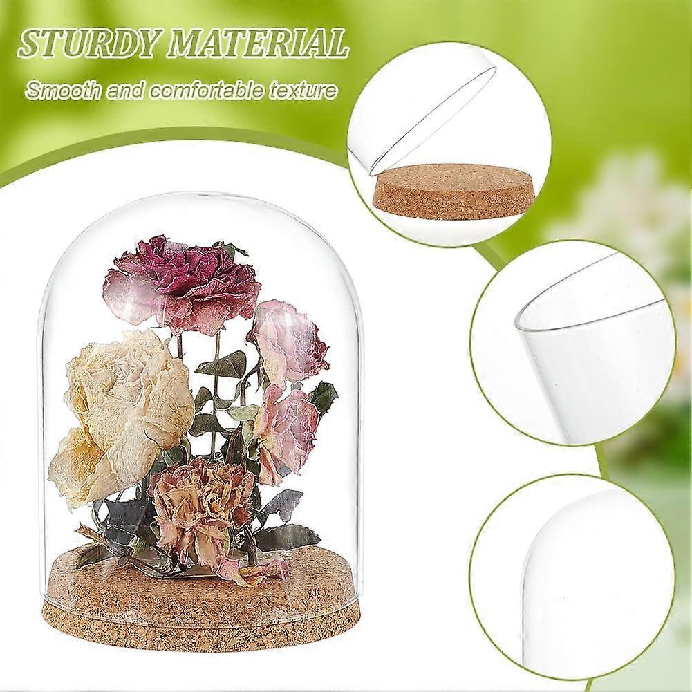 Glass Display Dome Cloche 4.9x6.5 inch Glass Bell Jar with Cork Base ...