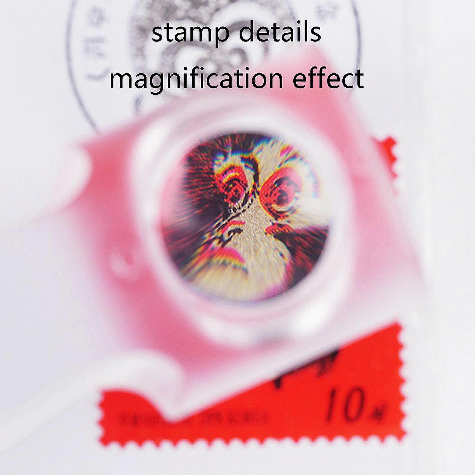 2 in 1 10x Magnifying Bar 6-Inch Data Processing Magnifying Ruler for ...