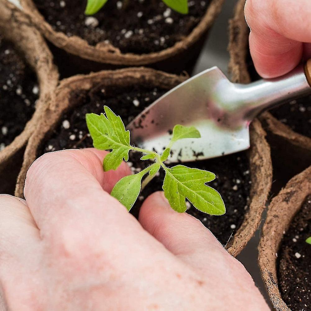 Pots, 30 Pcs 3 Inch Pots Round Pot, Biodegradable Plants Pots With ...