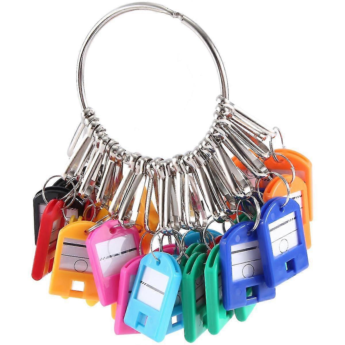 Portable Key Organizer, with 30 Individual Spring Hooks and Key Tags ...