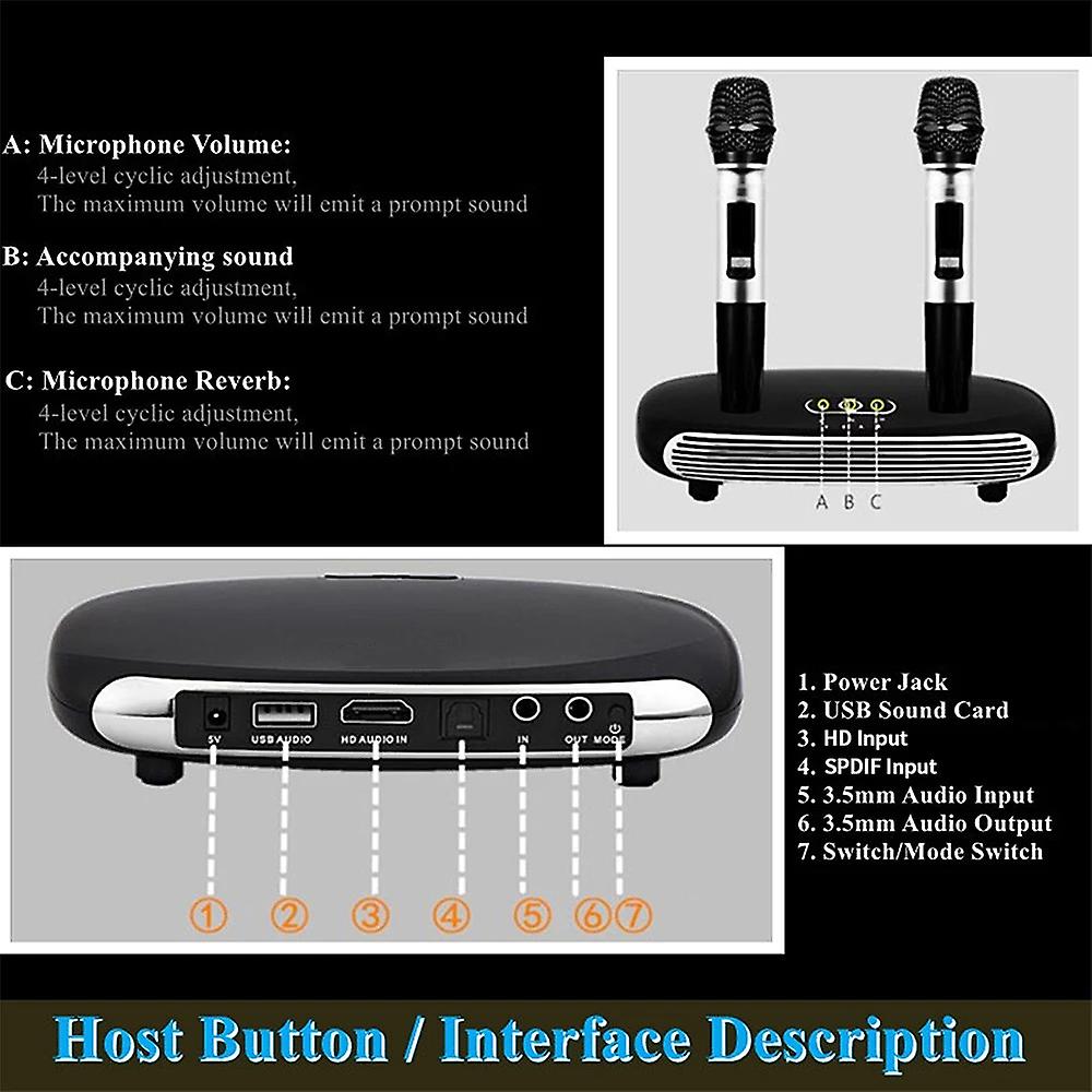 Wireless BT Karaoke Set with Dual Wireless BT Microphone for Smart TV ...