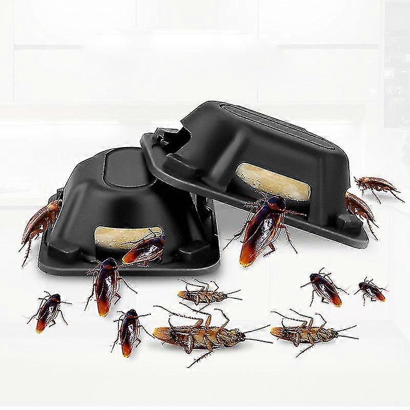 Cockroach Insecticide Attractant Cockroach Killer Cockroach House ...