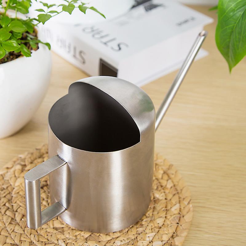 Small Watering Can, Metal Watering Can with Long Straight Spout for ...