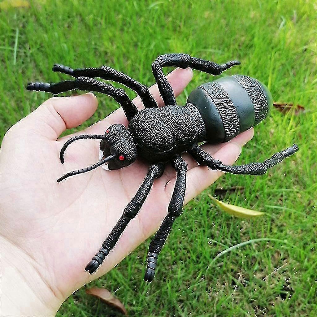 Insect Simulation Model Toys Simulation Wildlife Model Ornaments Creepy ...