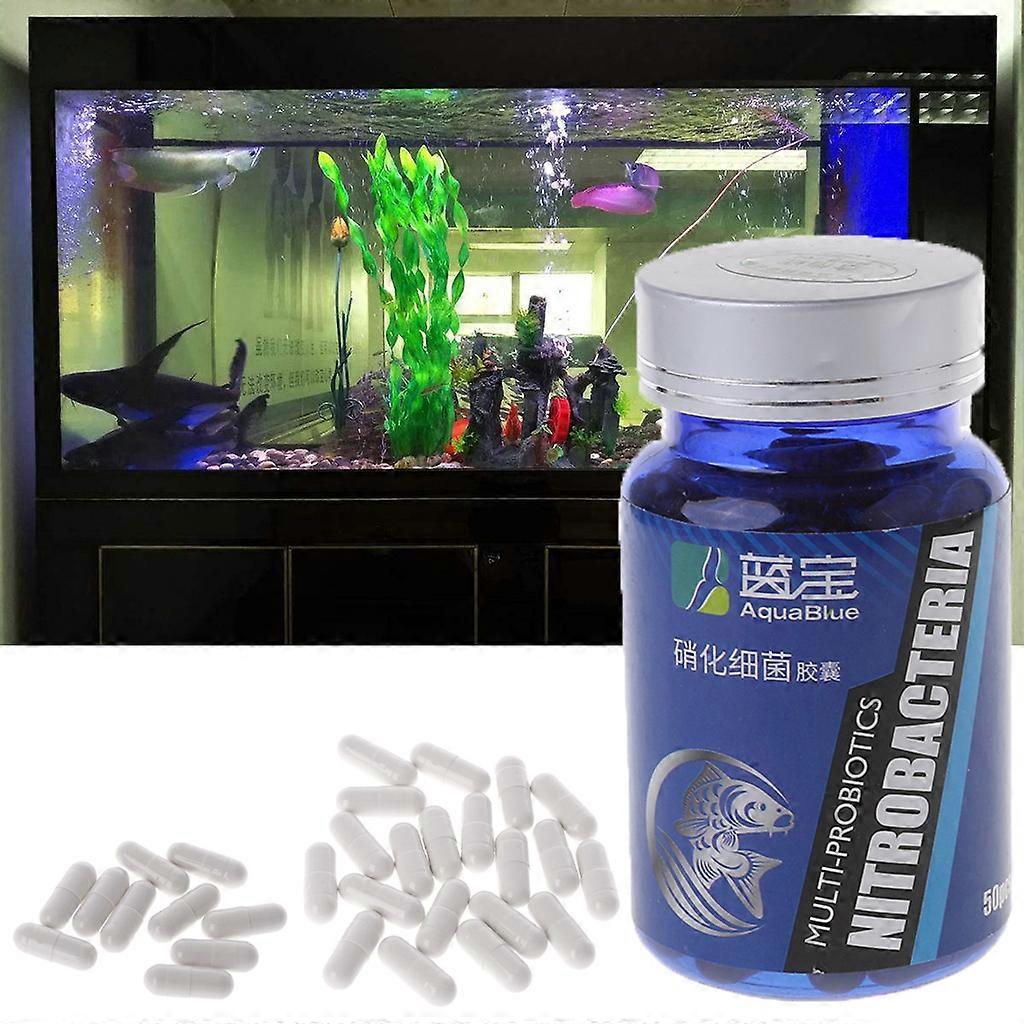 Nitrifying Bacteria for Ornamental Fish Quickly Establish Nitrification ...