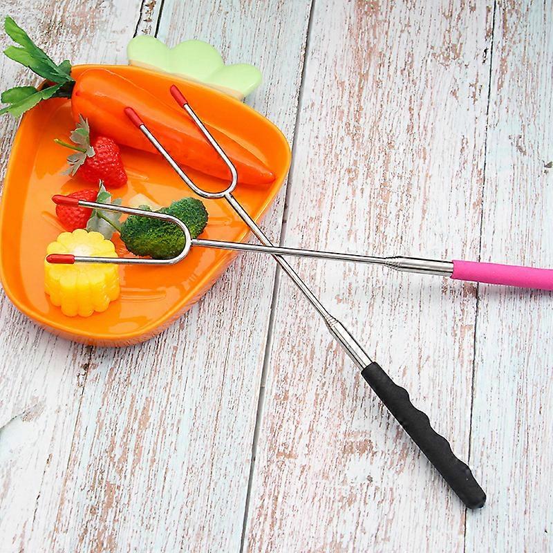 5pcs Stainless Steel Telescopic Grill Stick 35 Inch Sausage Grill Fork ...