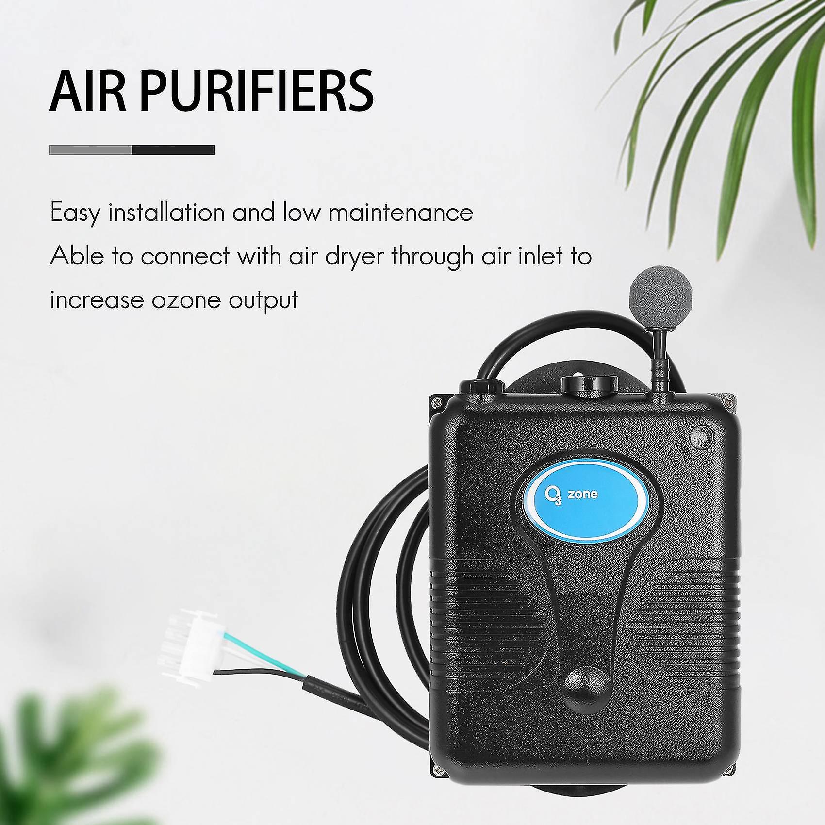 220v 300mg/h Ozone Generator Bathtub Shower Spa Swimming Pool Ozonizer ...