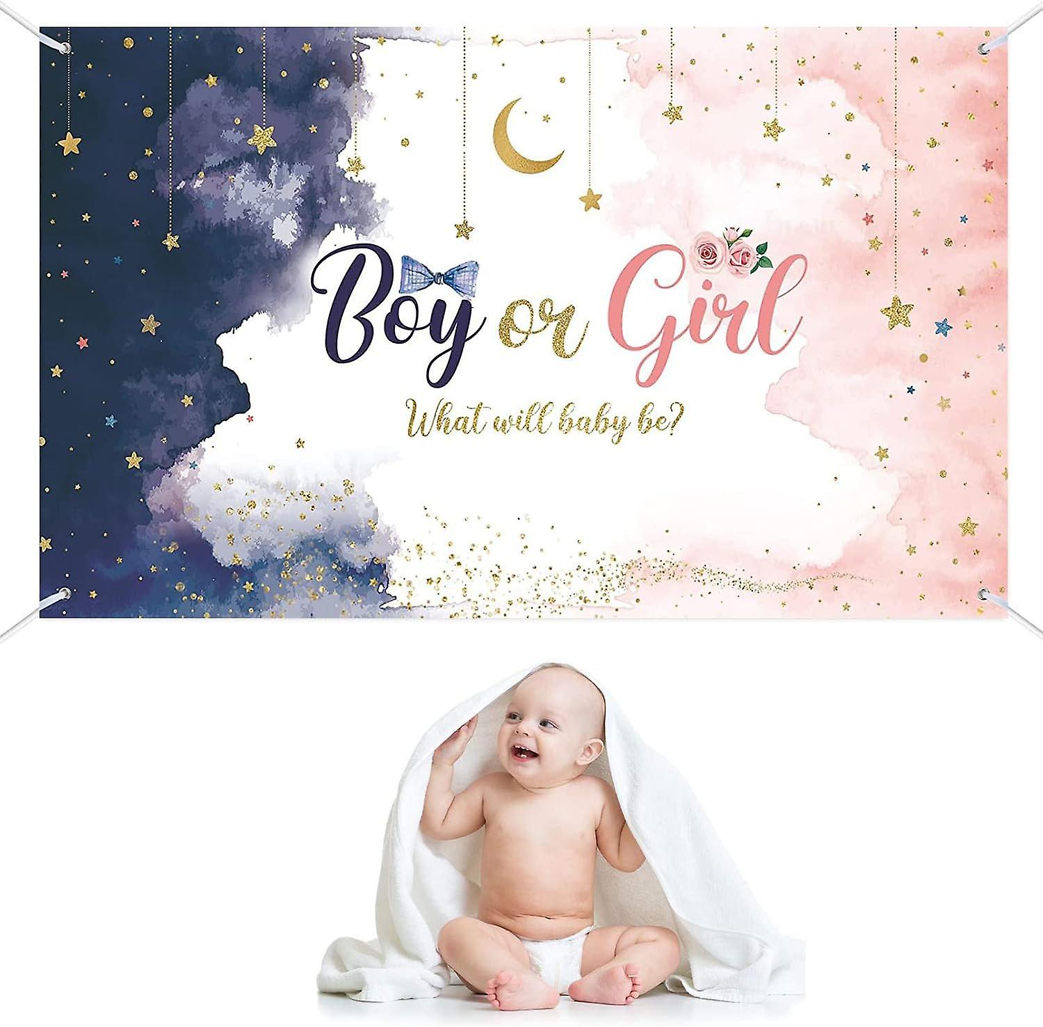 Gender Reveal Backdrop Watercolor Blue Pink Banner Boy or Girl What ...