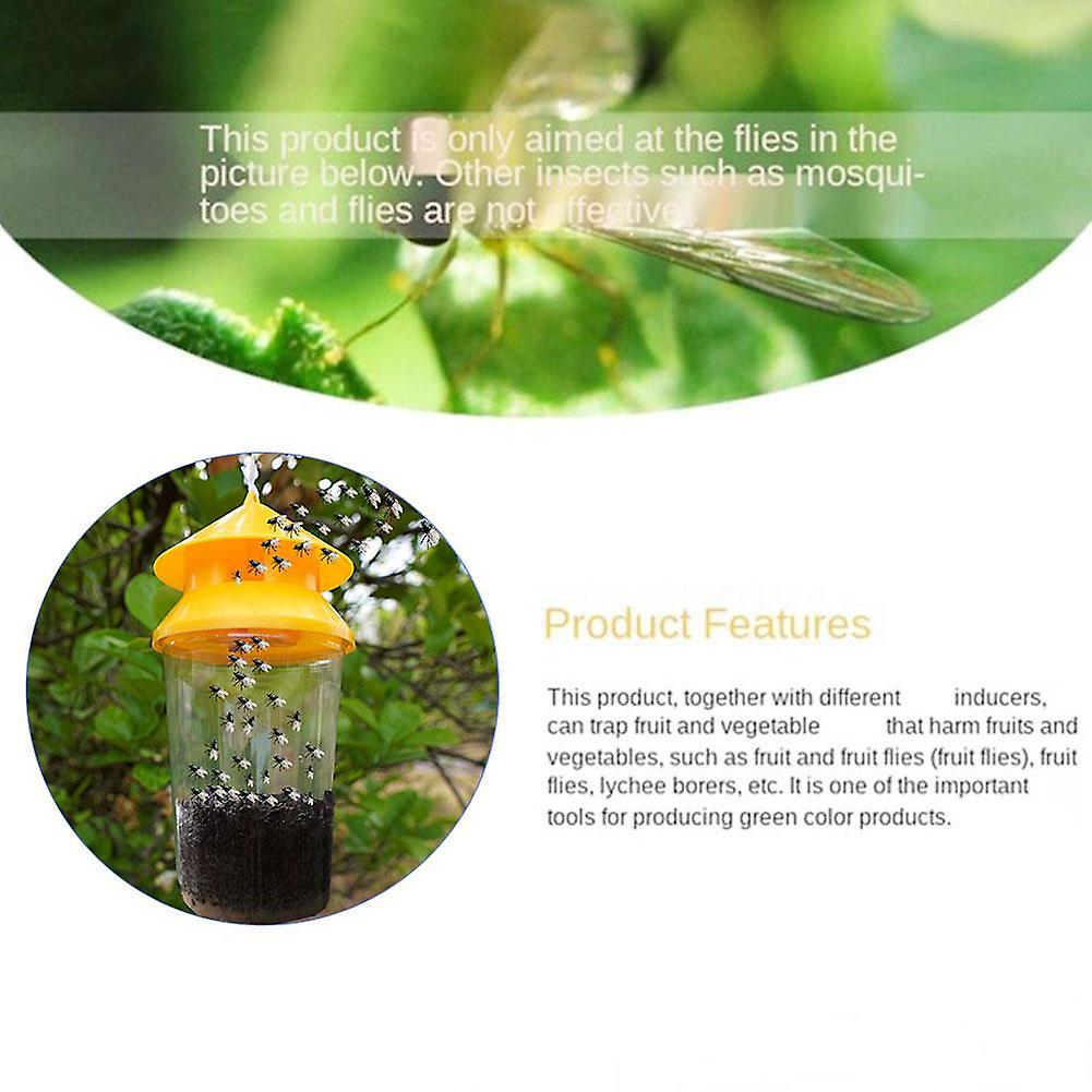 Fruit Fly Trap Killer Yellow Plastic Drosophila Trap Anti Fly Fruit Fly Killers | Fruugo UK