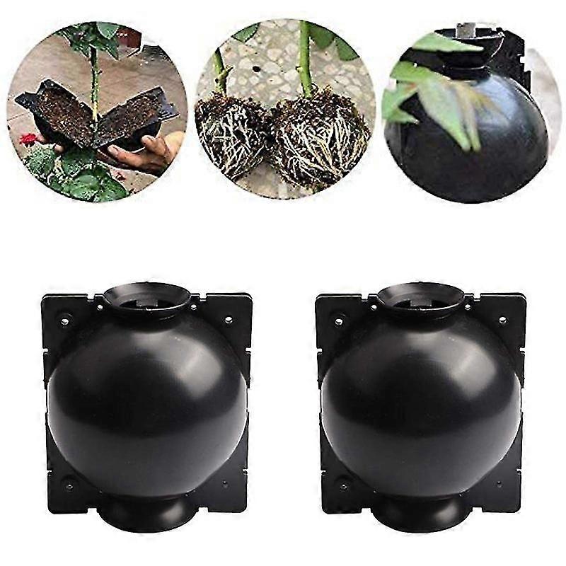 10Pcs Plant Root Growing Box High Pressure Fast Growth Grafting ...