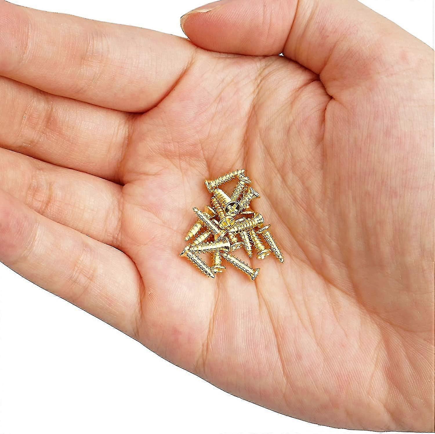 Small Screws M2 M2.5 Self Tapping Screw Assortment Kit Flat Head Cross ...