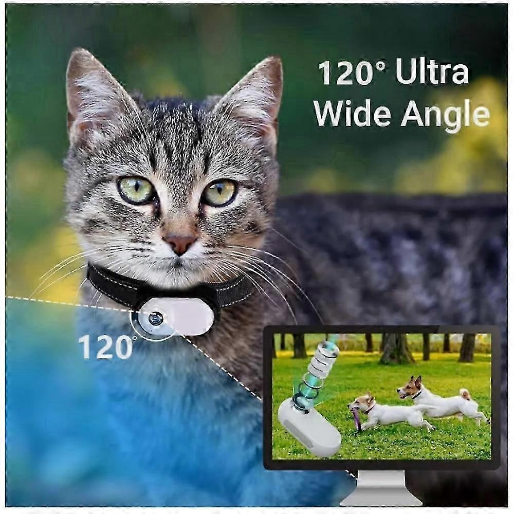 Catcam Pro, Cat Cam Pro 2.0, HD 1080p Video Camera Mini Collar Camera ...