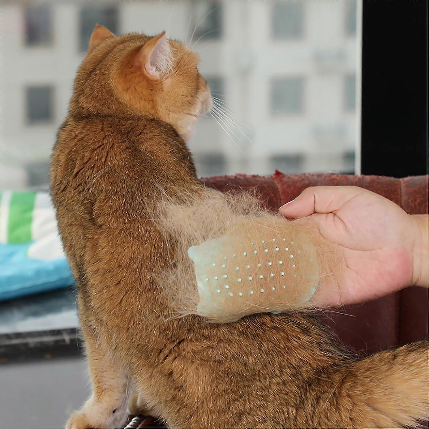 2pcs Pet Tickling Artifact, Tickling Comb Pet Brush, 2024 New Cat ...