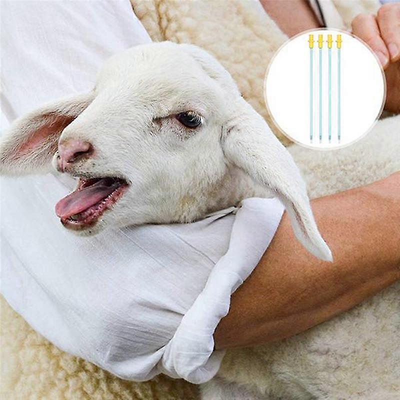 50PCS Artificial Insemination Tube for Dog Disposable Hybridization ...