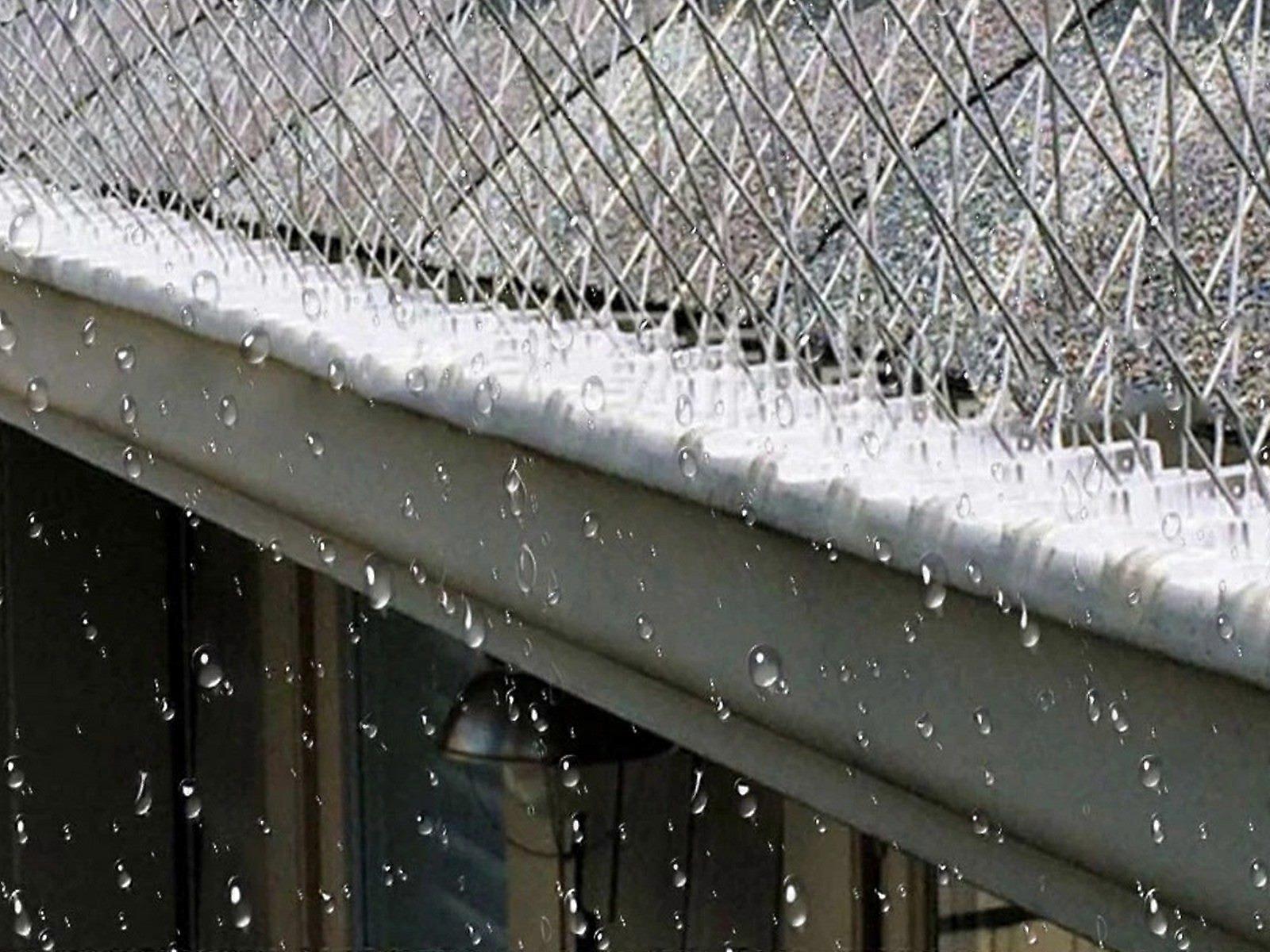 24Pcs Stainless Steel Bird Repellent Spike Repeller for Verandas Roof ...