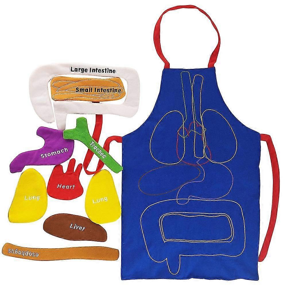 Organ Apron - An important organ apron way Compatible children to ...