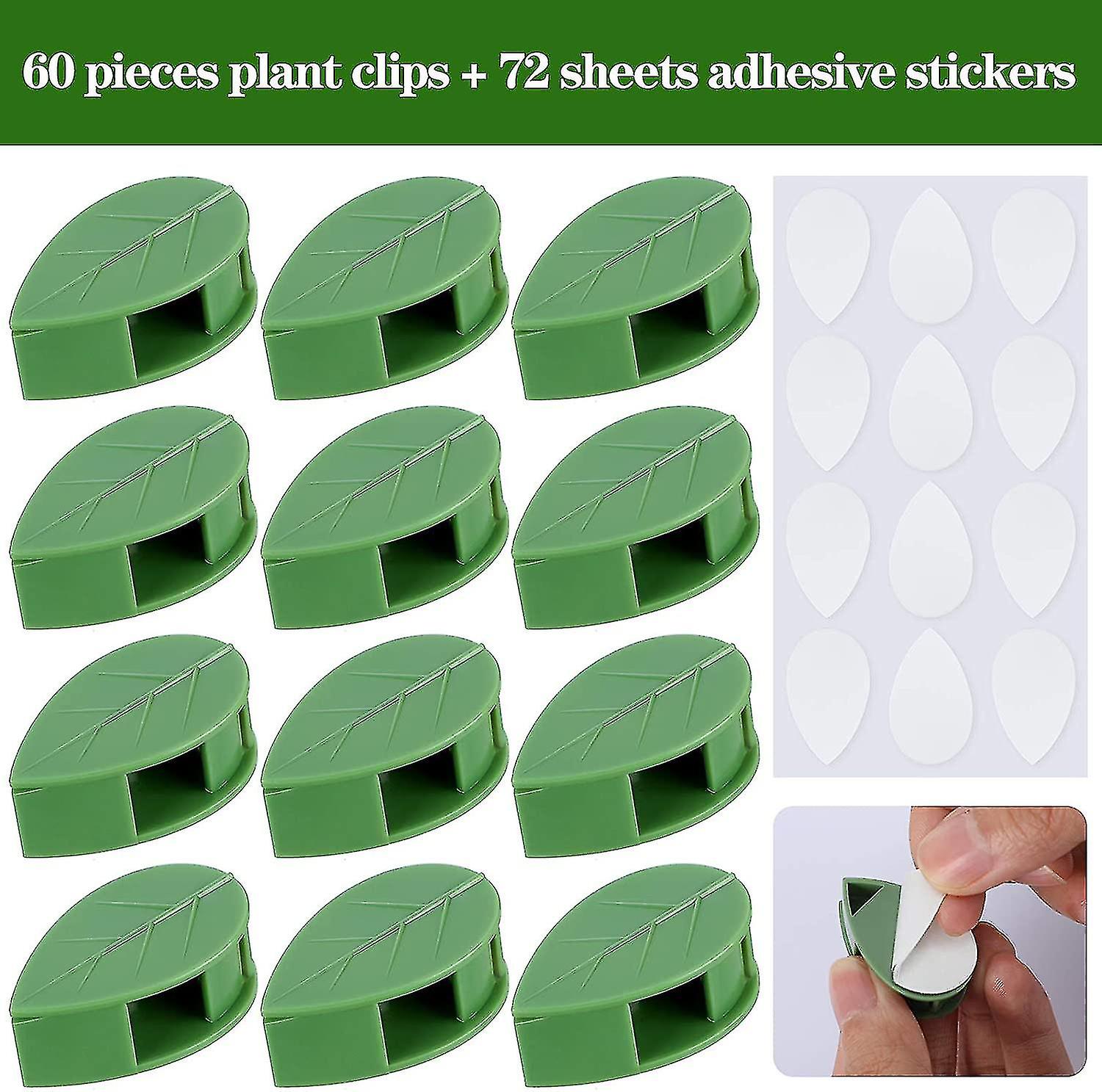 60 Pieces Plant Climbing Wall Fixture Clips With 60 Pieces Acrylic ...