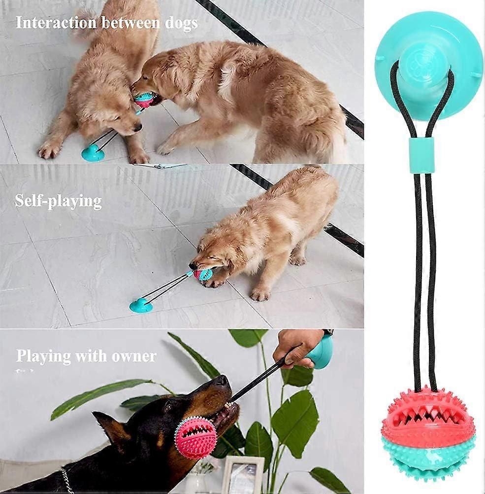 Dog Toy Ball Chew Toys with Suction Cup, Multifunctional Dog Game with ...
