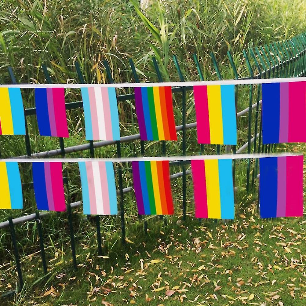Rainbow Flags String Banners 10m 40Pcs 14x21cm for Gay Lesbian Pride ...