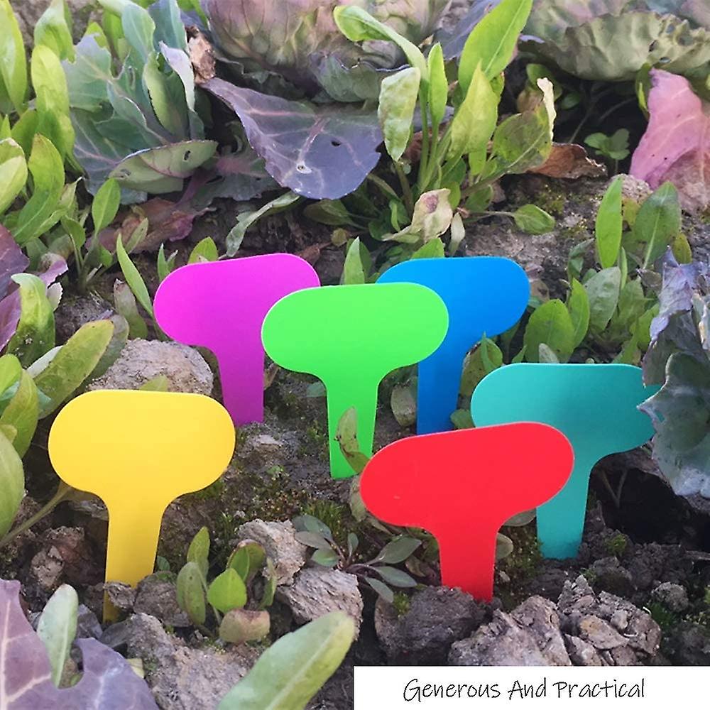 300 pieces T-Type Plastic Labels, Waterproof Garden Labels, Plant ...