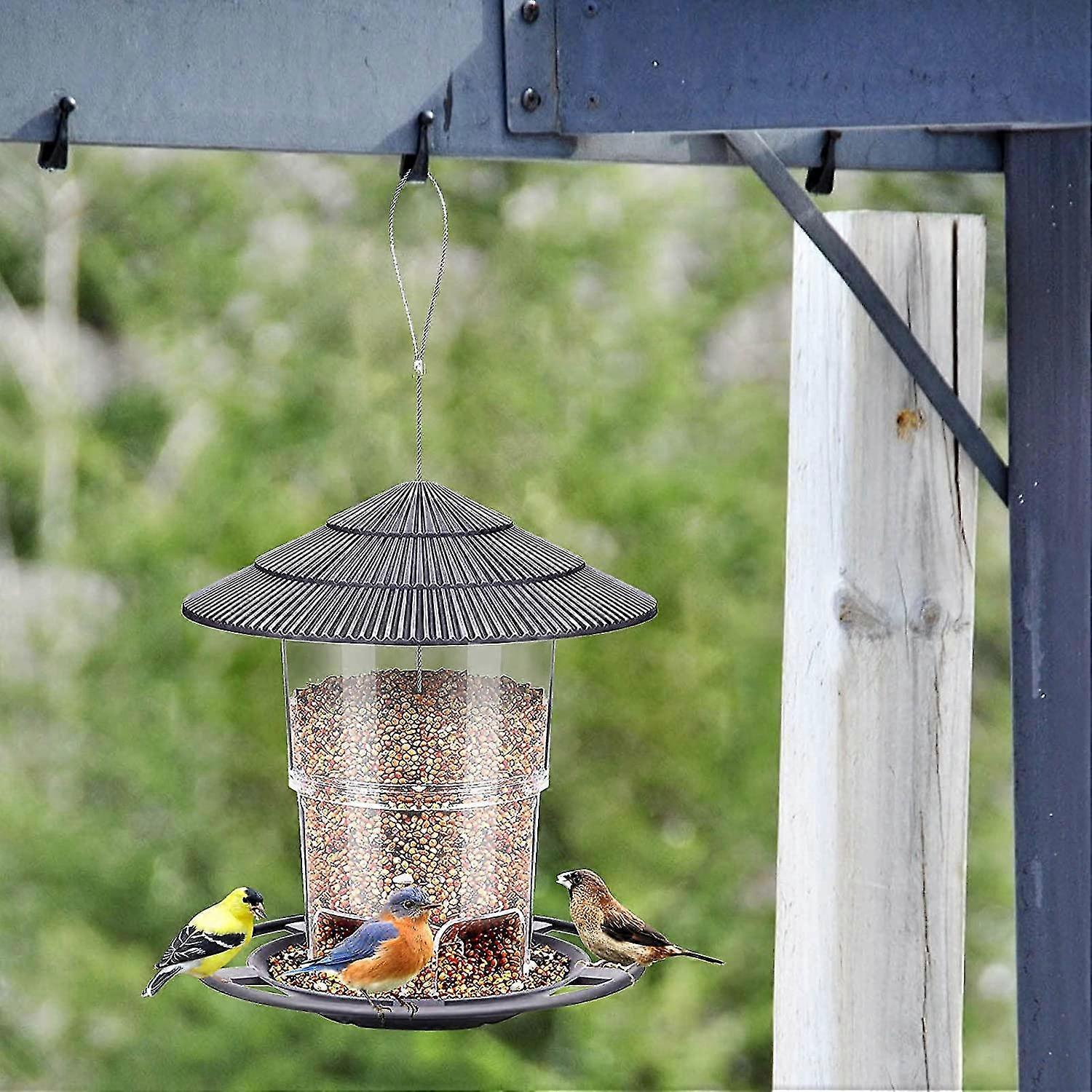 Bird Feeders For Outside, Bird Feeder, Wild Bird Seed For Outside ...