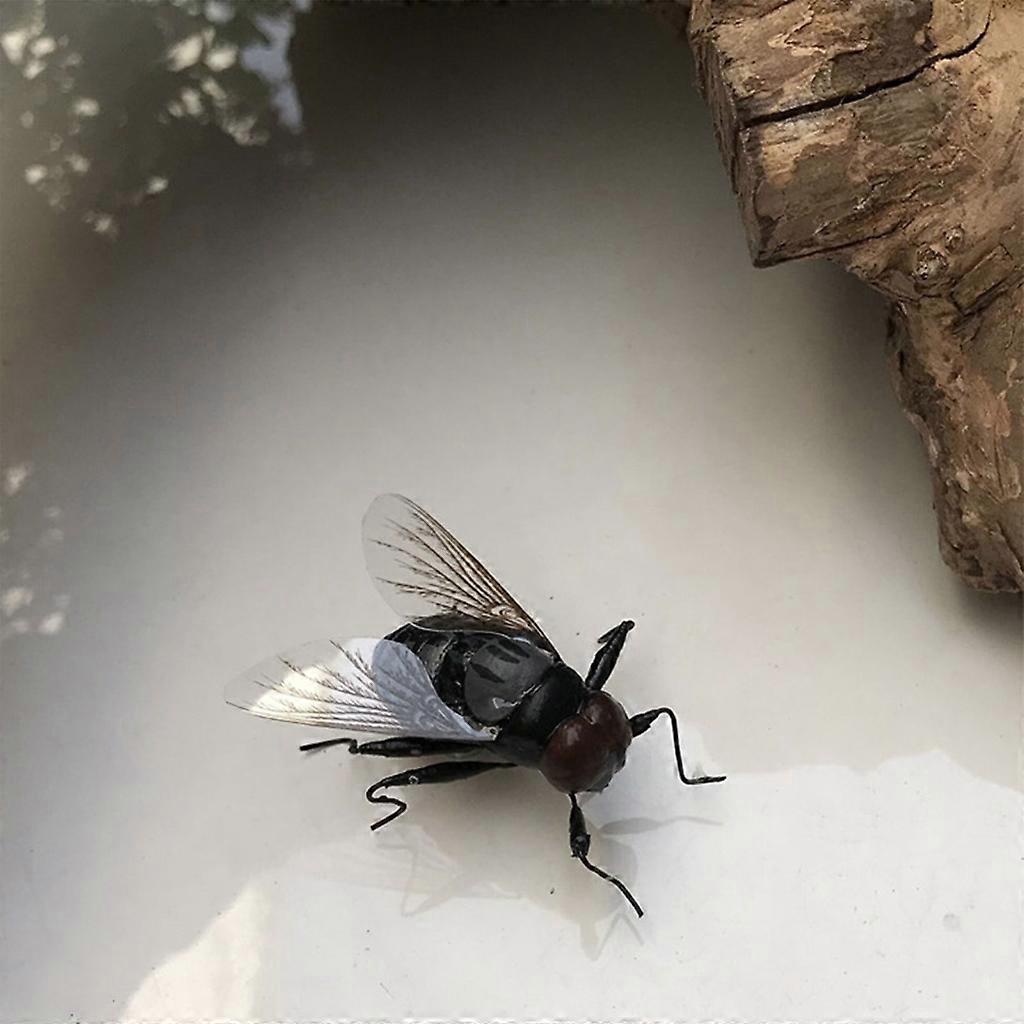 Magnetic Refrigerator Magnets High Simulated Insect Flies Clay Animal ...