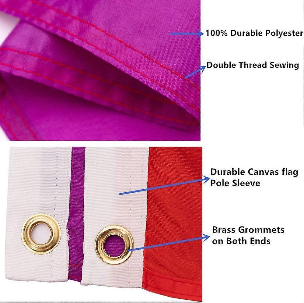 Rainbow Gay Pride Flag 3x5 ft- LGBTQ Pride Parade Banner Flags UV Fade ...