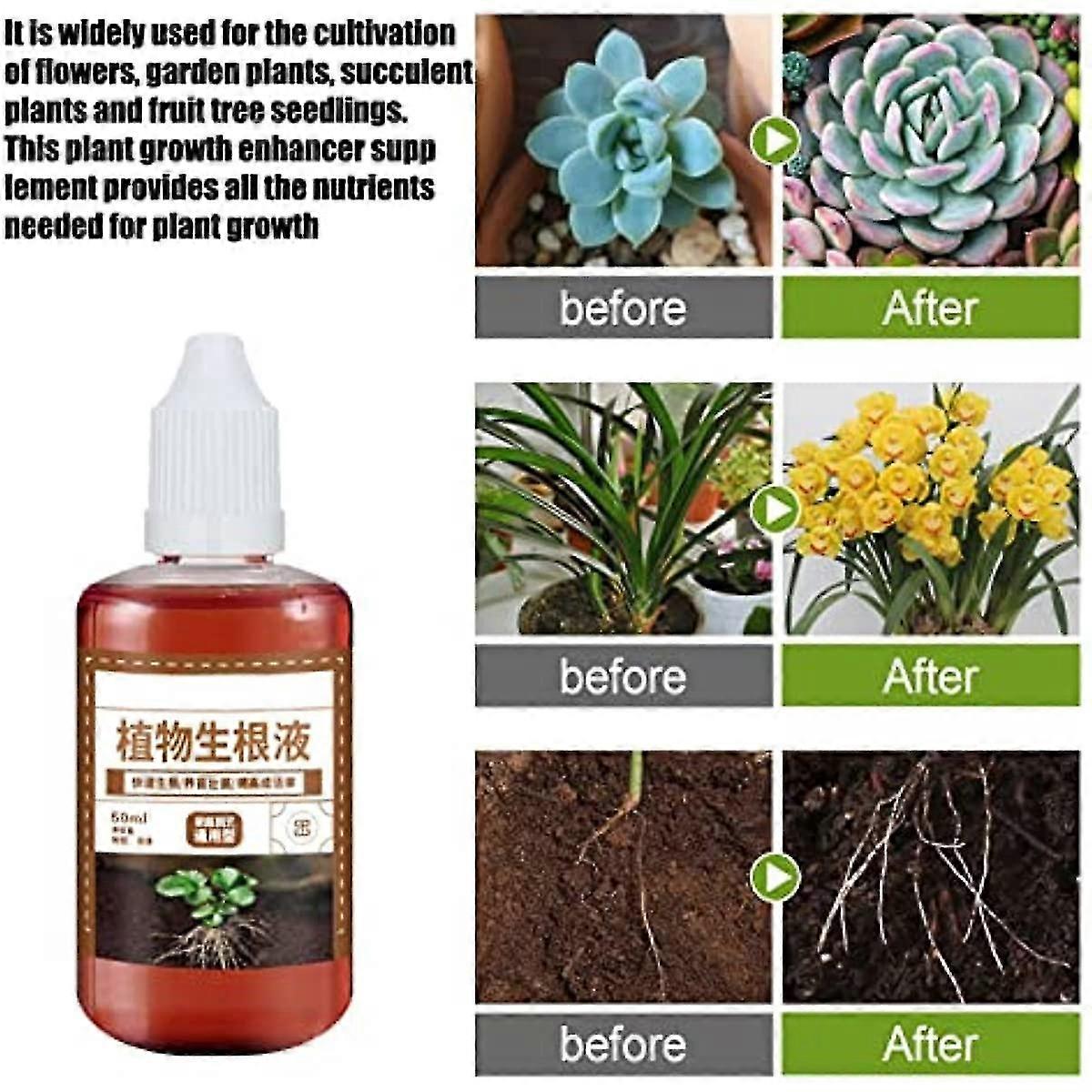 Rooting Hormones,concentrated Formula For Plant Root Growth,rooting ...