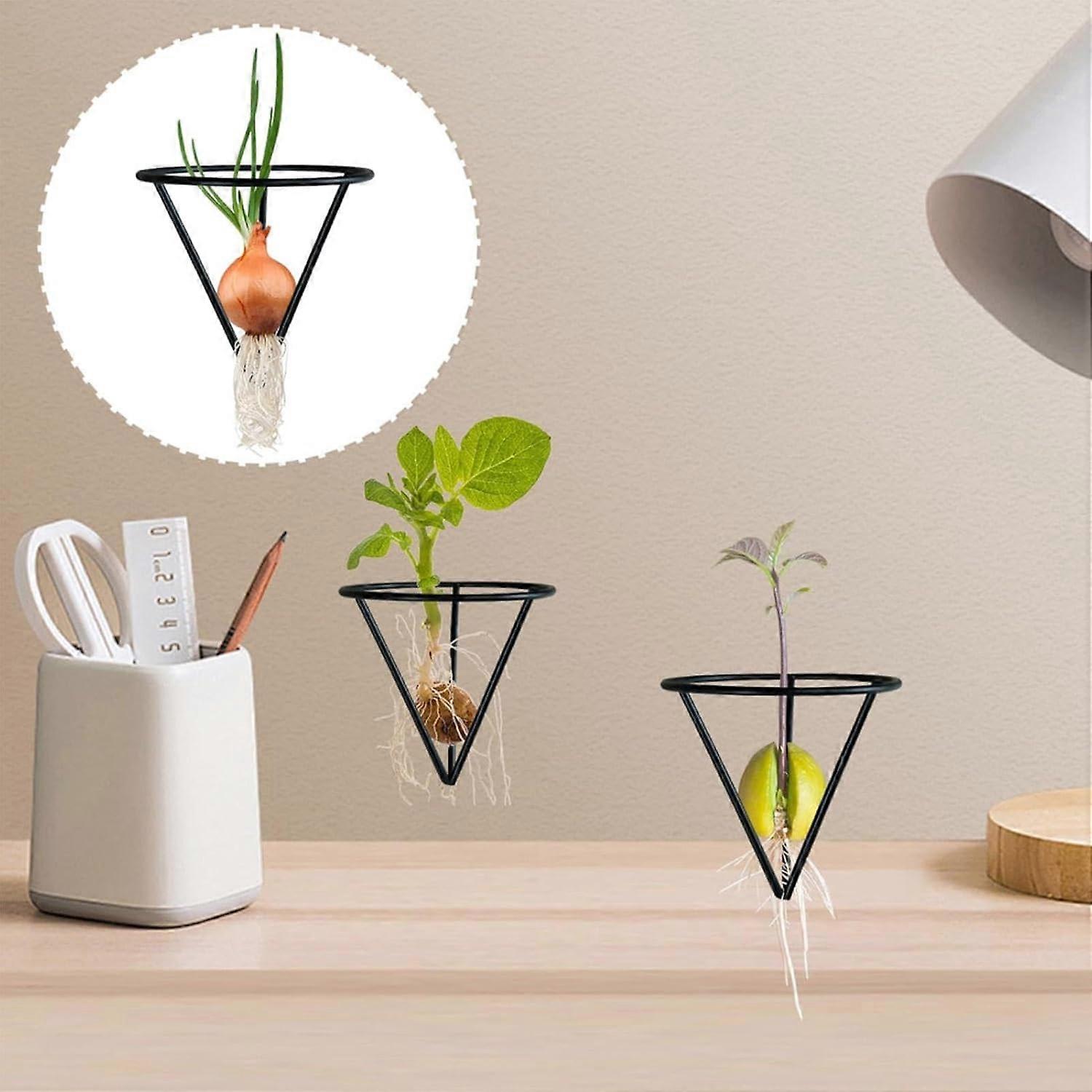 Avocado Seed Starter Vase Avocado Seed Vase Holder Black Metal Bracket ...