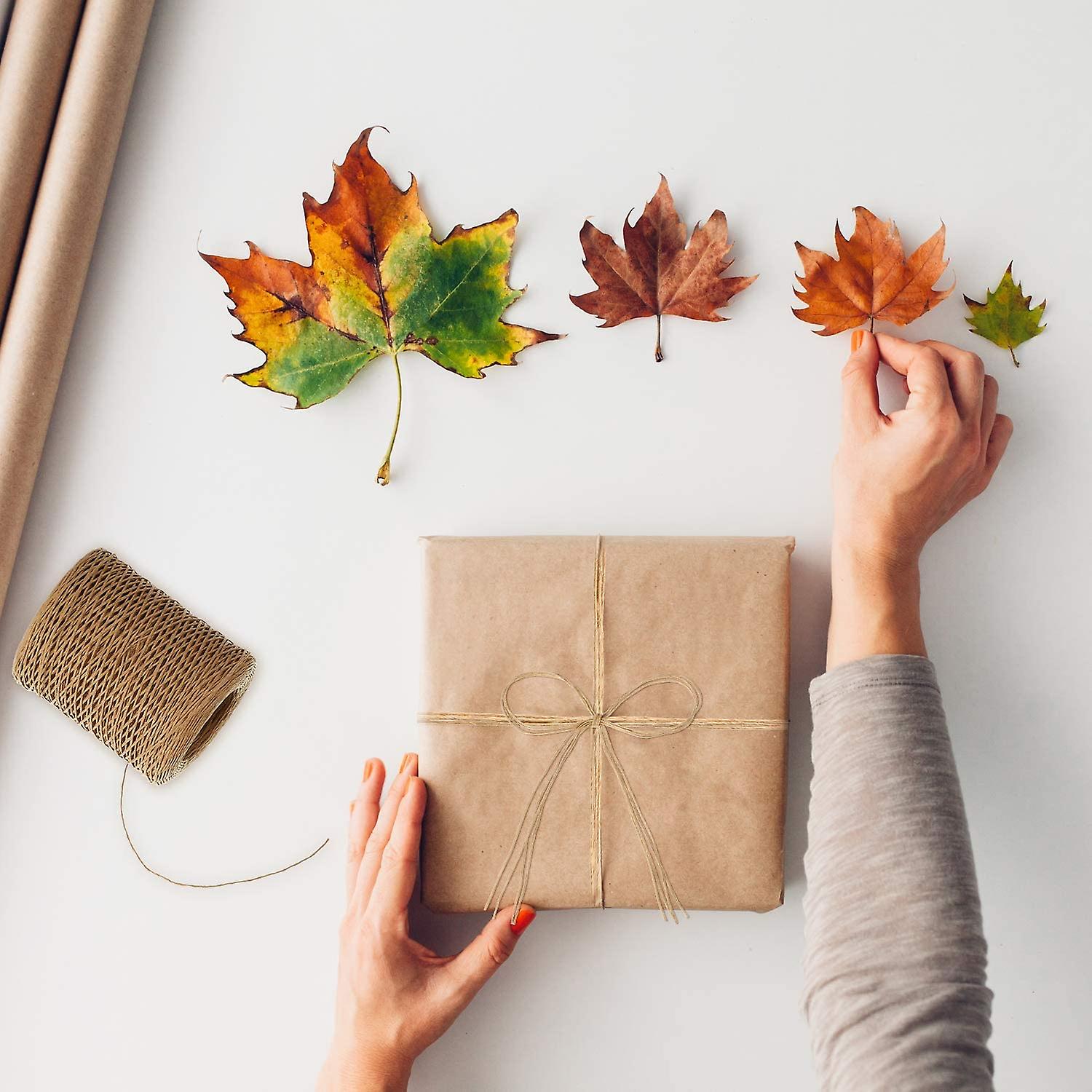 Floral Wire Vine Wire Bind Wire Rustic Wire Wrapping Wire for Flower Bouquets (Light Brown, 673 ...