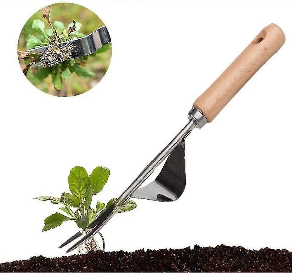 Stainless Steel Manual Weeder, 1 Piece Manual Weeder Tool, Weeder With ...