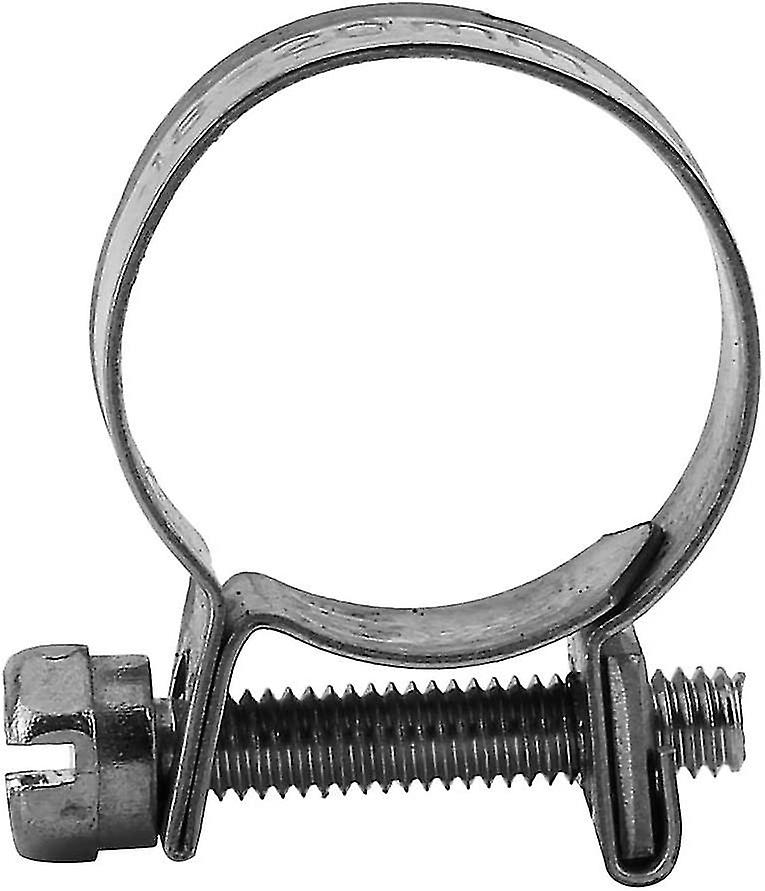 10 Pcs Hose Spring Clip 6mm-20mm Optional Hose Clamps Hose Clip 304 ...